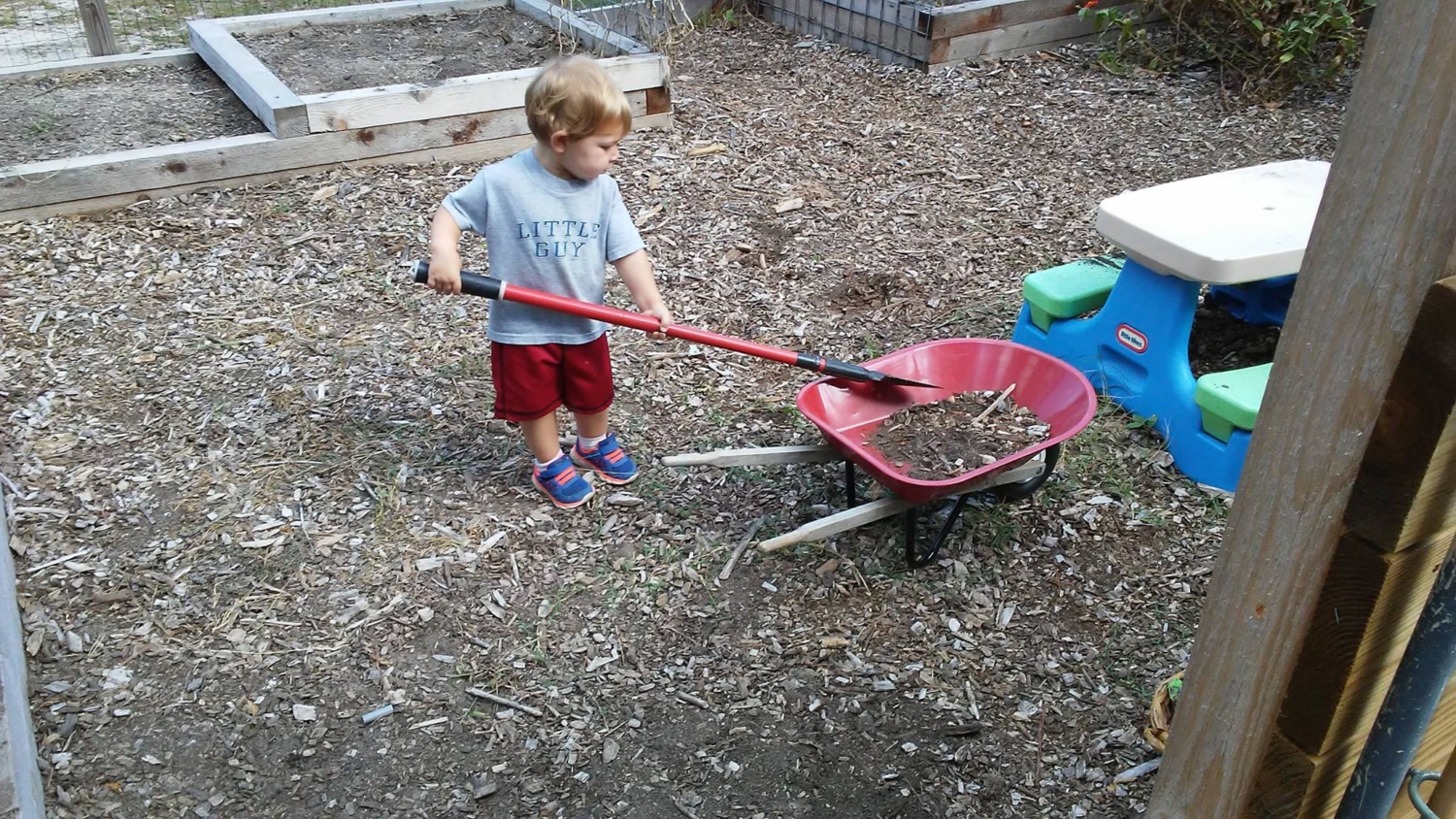 Summer Activities Sure to Please Your Toddler – marybockert.com